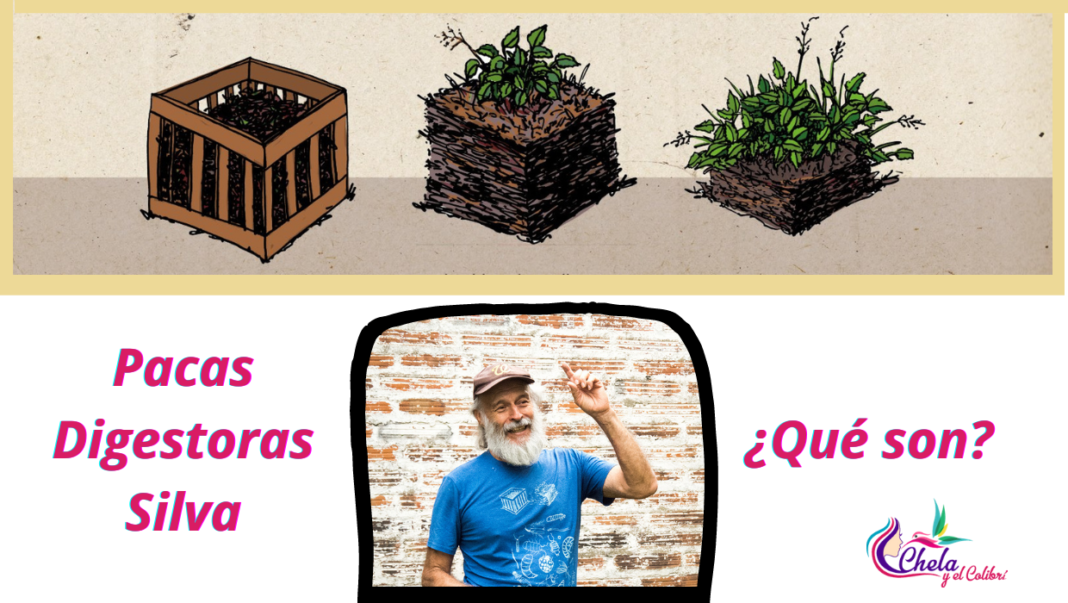 Pacas Digestoras Silva ¿Qué son? | Chela y el Colibrí